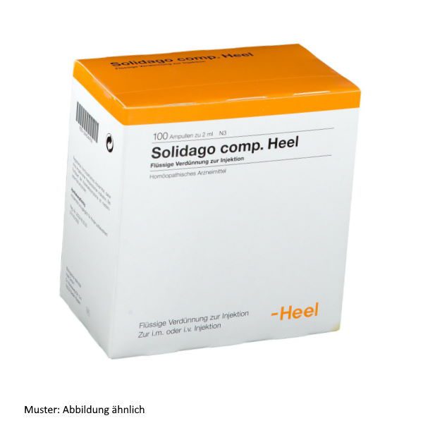 Solidago comp. Heel ampoules 100 pcs. - Löwen Apotheke24